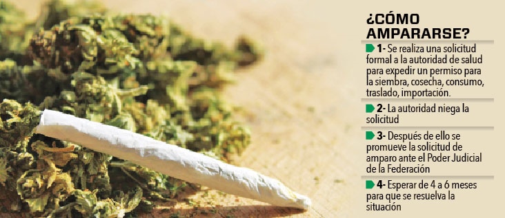 Regios ya se amparan para fumar mariguana