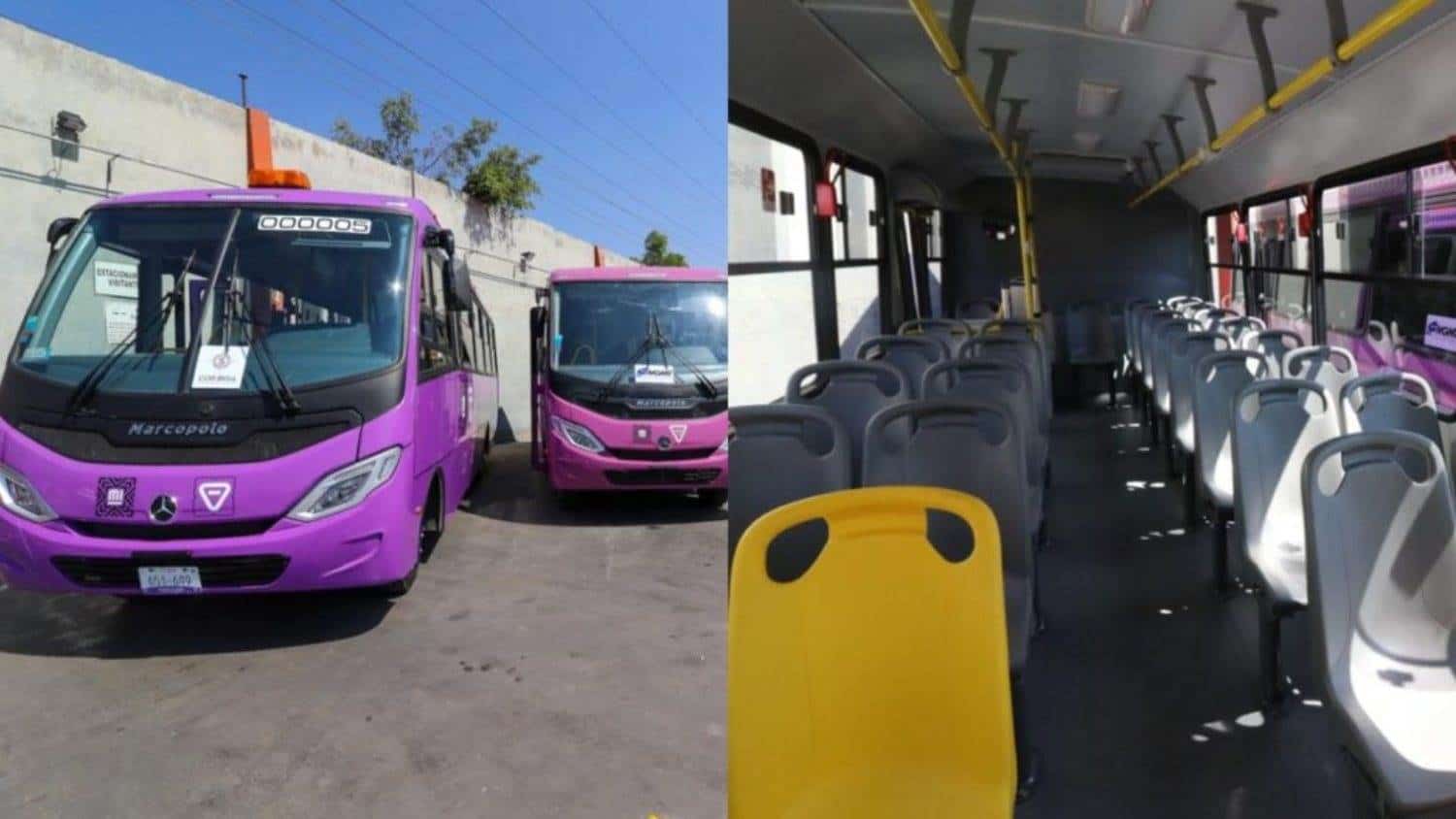 Microbuses con más de 10 años de uso serán remplazados
